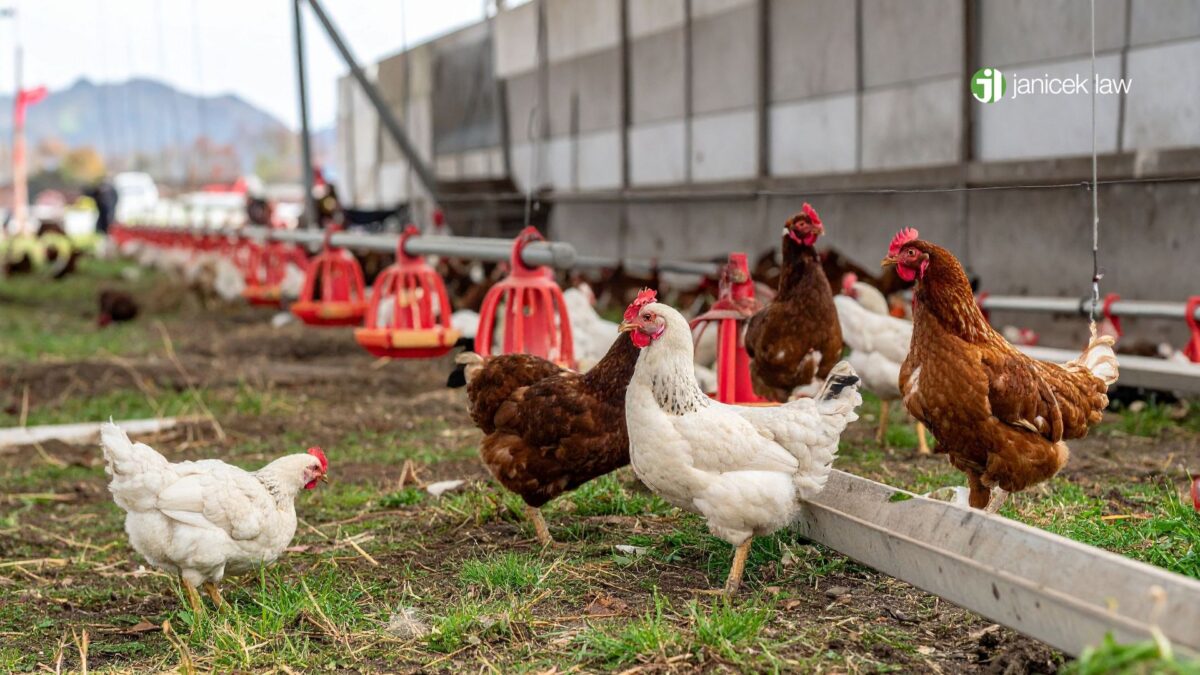 San Antonio Farm Accident Lawyer | Ranch Accident | Janicek Law